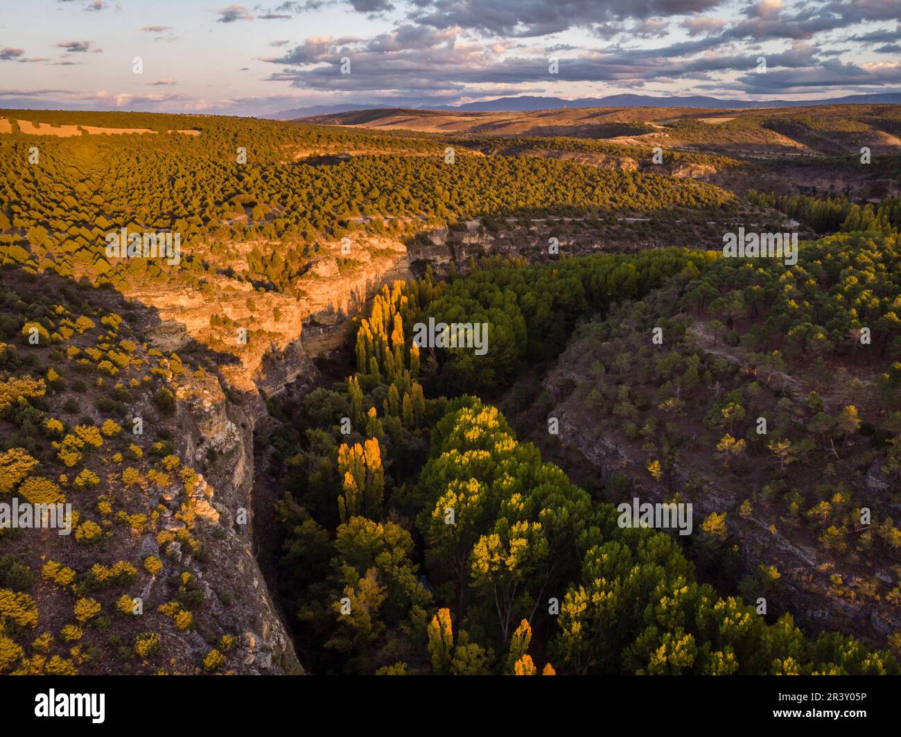 Epigénesis hi-res stock photography and images - Alamy