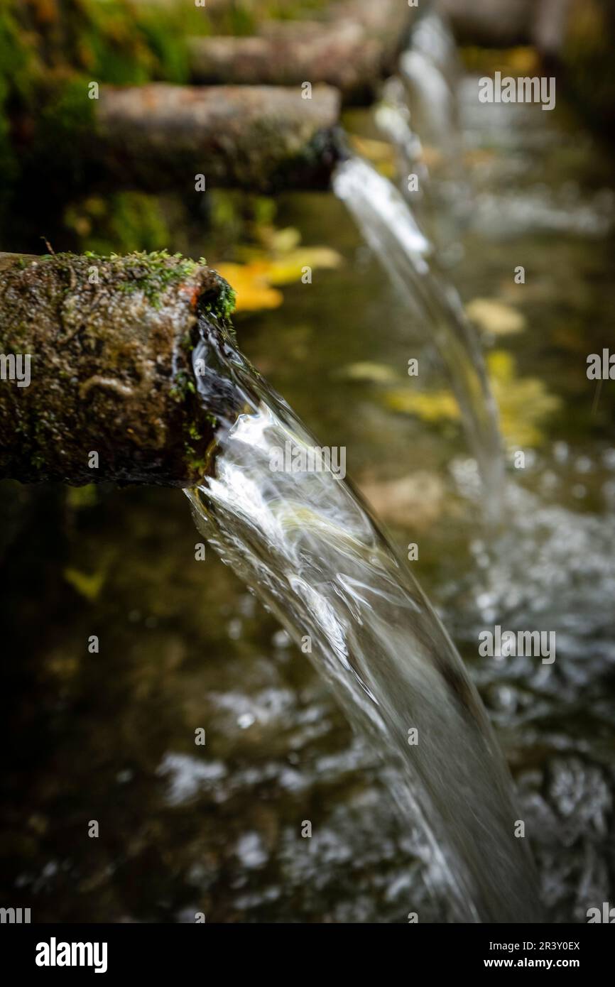 Sauca river hi-res stock photography and images - Alamy