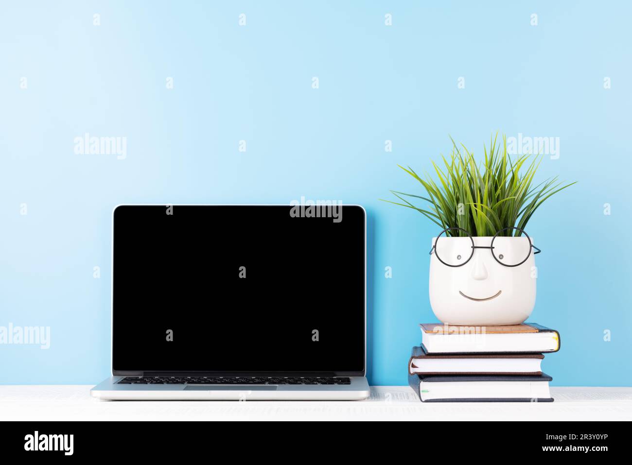 Laptop with blank screen for your message, app or web and potted plant ...