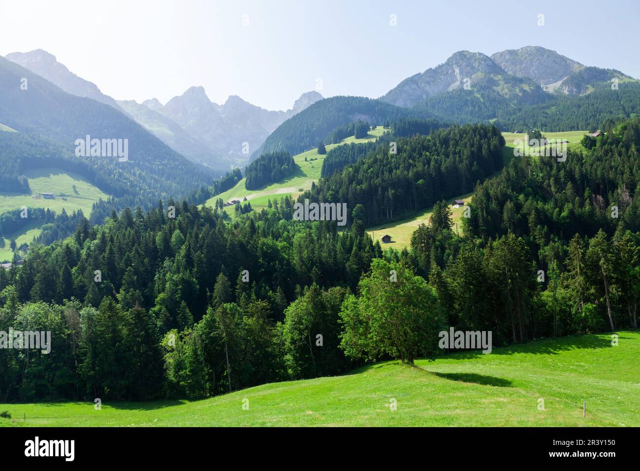 Panoramic view of green alpine meadows and the Alps mountains in ...