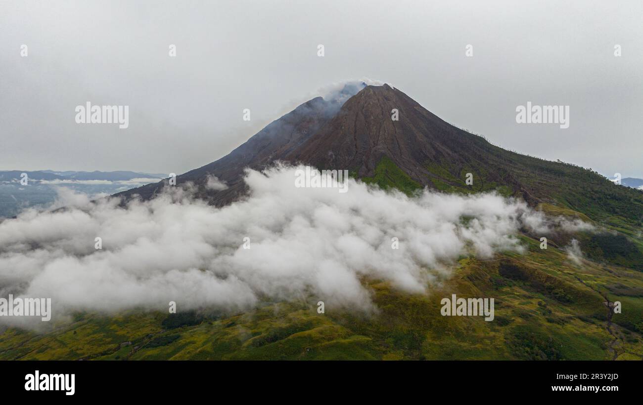 Sumatra and rainforest and mist hi-res stock photography and images - Alamy