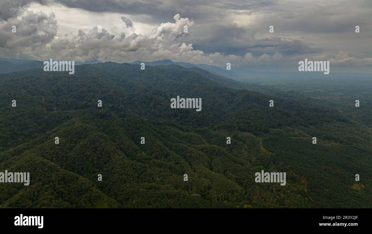 Mountain landscape with mountain peaks covered with forest. Sumatra ...