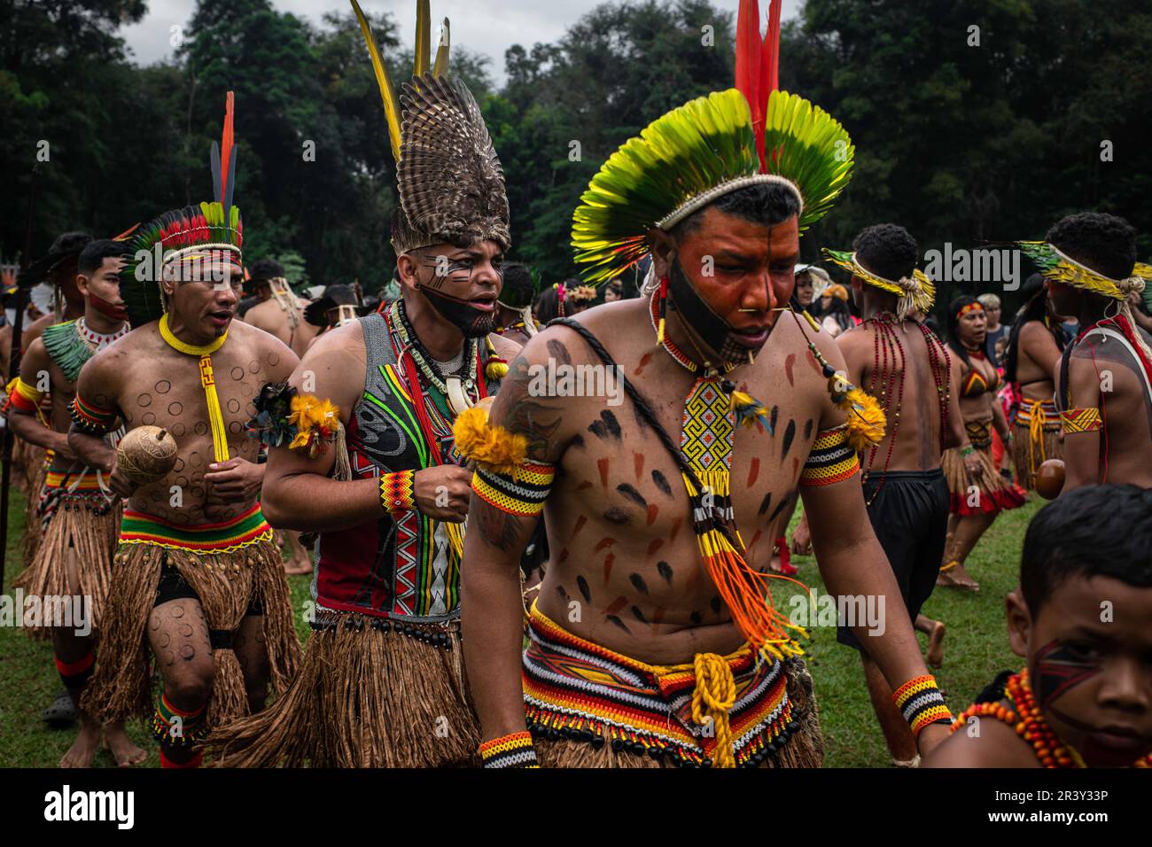 A group of indigenous people wearing ornaments seen dancing and singing ...