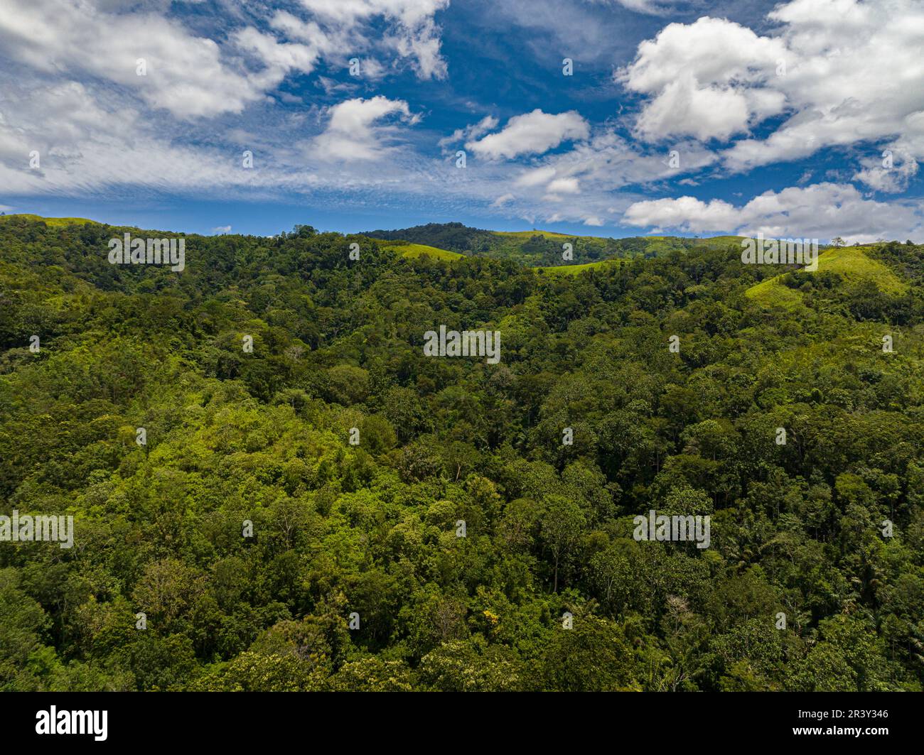 Aerial drone of mountains covered rainforest, trees and blue sky with ...