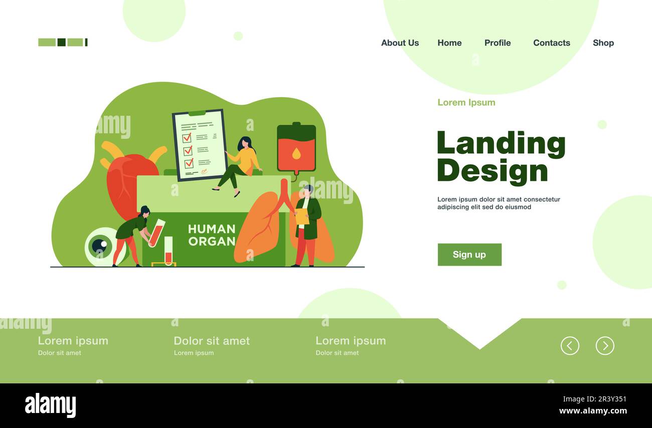 Liver donation human anatomy Stock Vector Images - Alamy