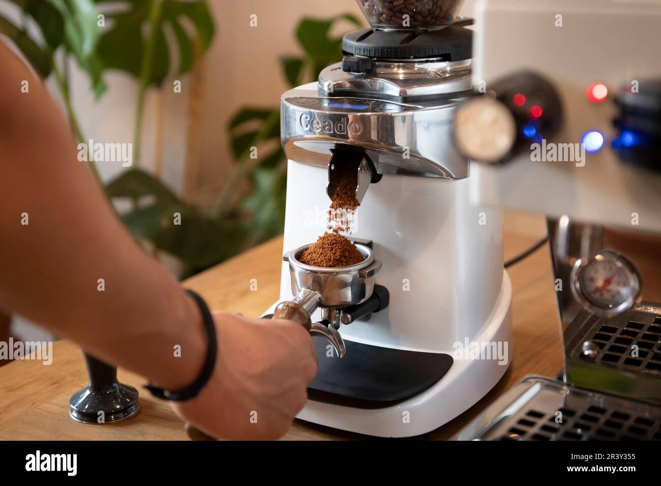 Coffee grinder hopper hi-res stock photography and images - Alamy