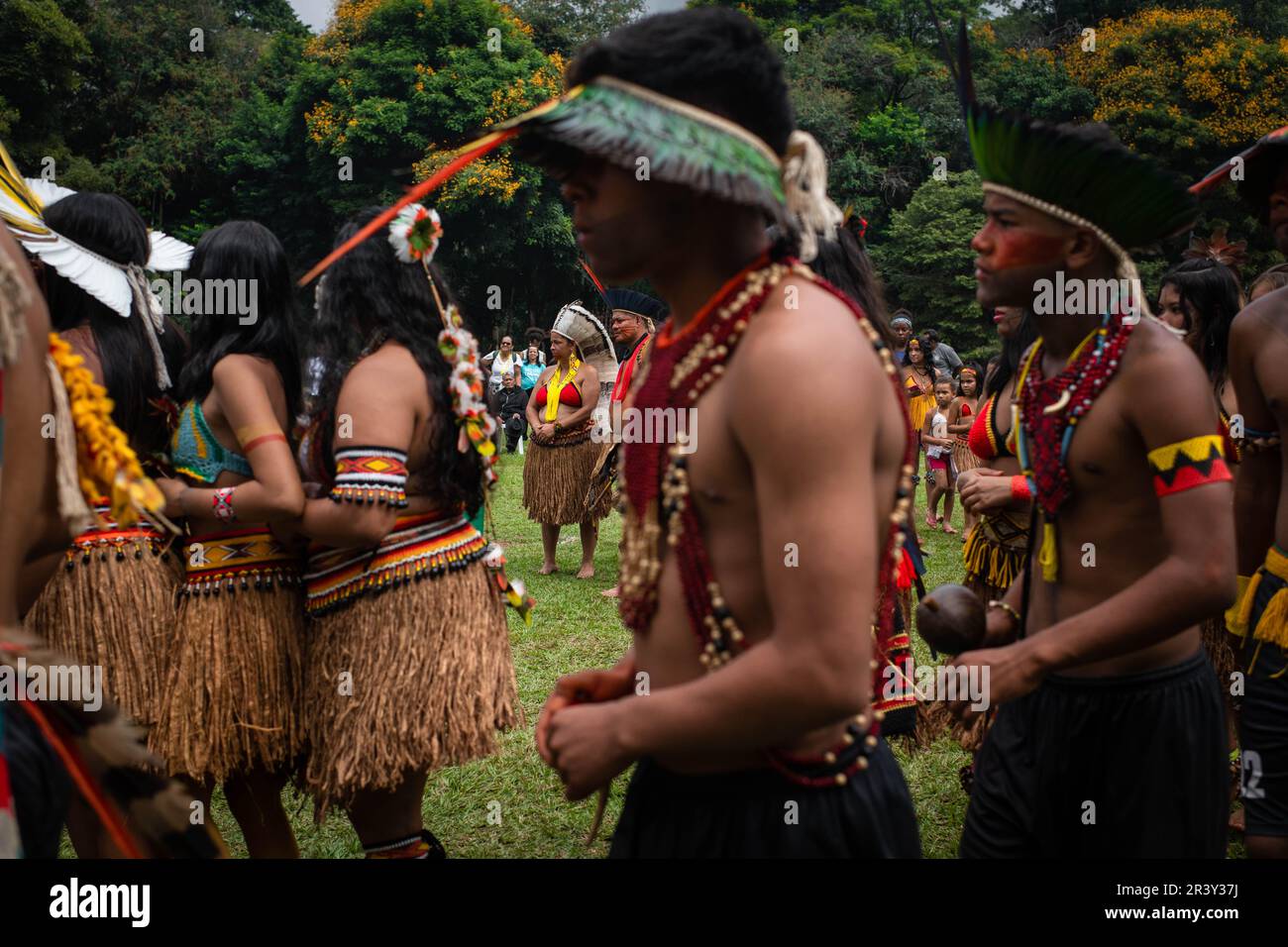 A group of indigenous people wearing ornaments seen dancing and singing ...