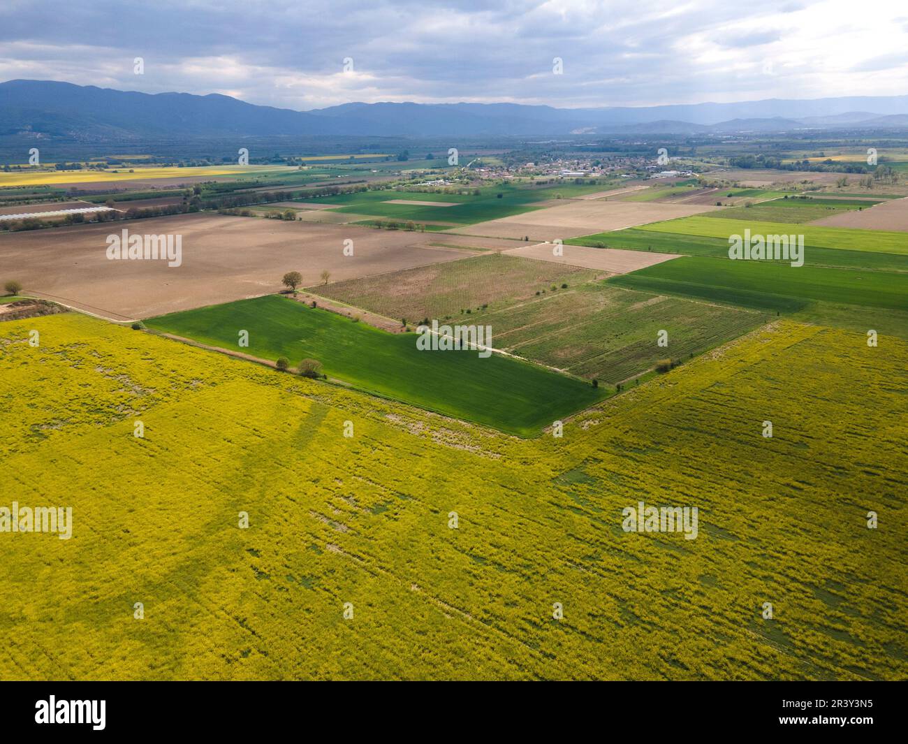 Aerial view of Blooming rapeseed field near village of Kostievo ...