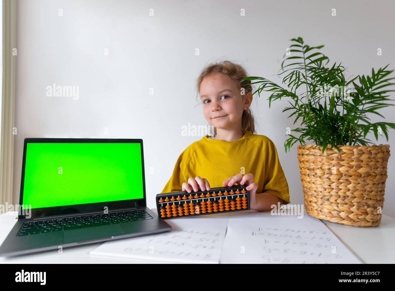 portrait of a girl with abacus in her hands, the concept of teaching ...