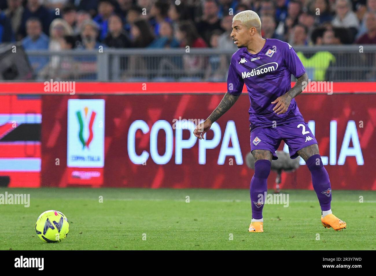 Male dodo hi-res stock photography and images - Alamy