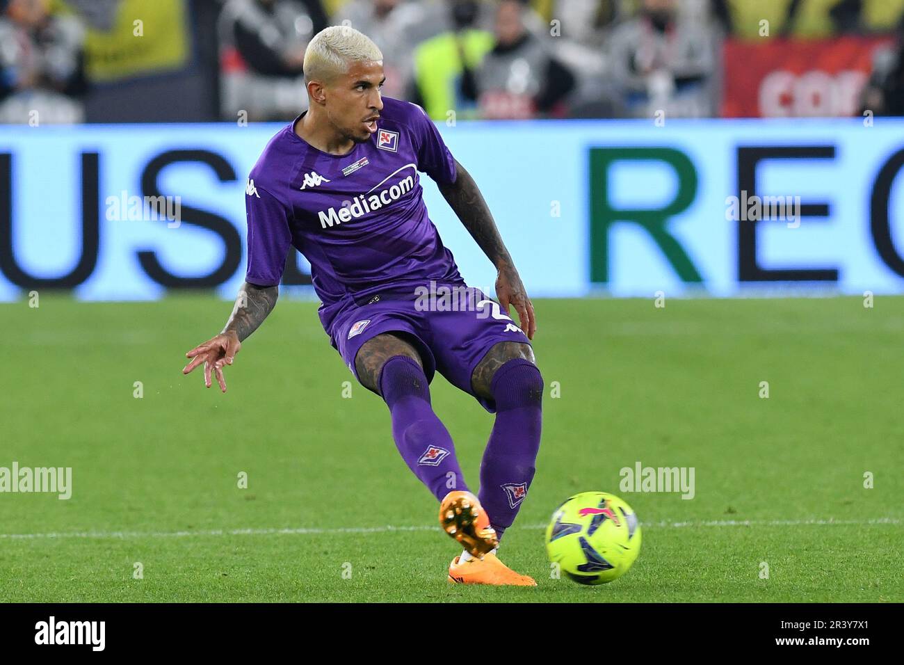 Male dodo hi-res stock photography and images - Alamy