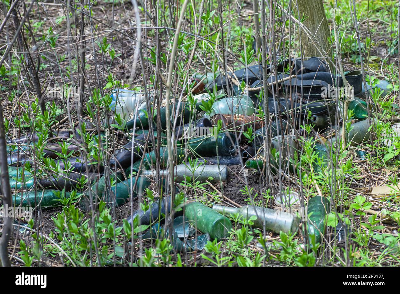 park with presence of broken glass bottles, a warning of the danger ...