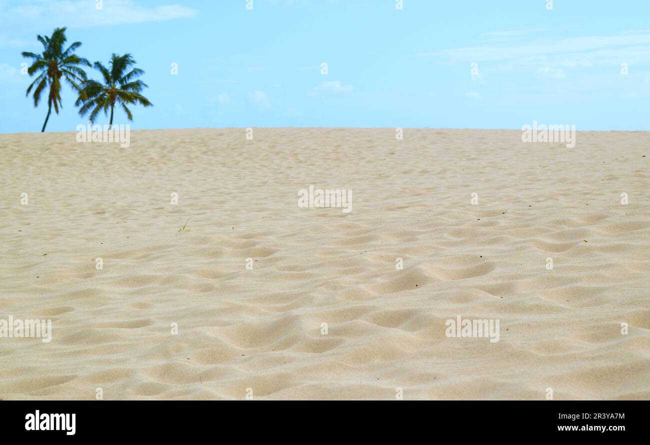 White Coral Sand of Anakena Beach on Easter Island of Chile, South ...