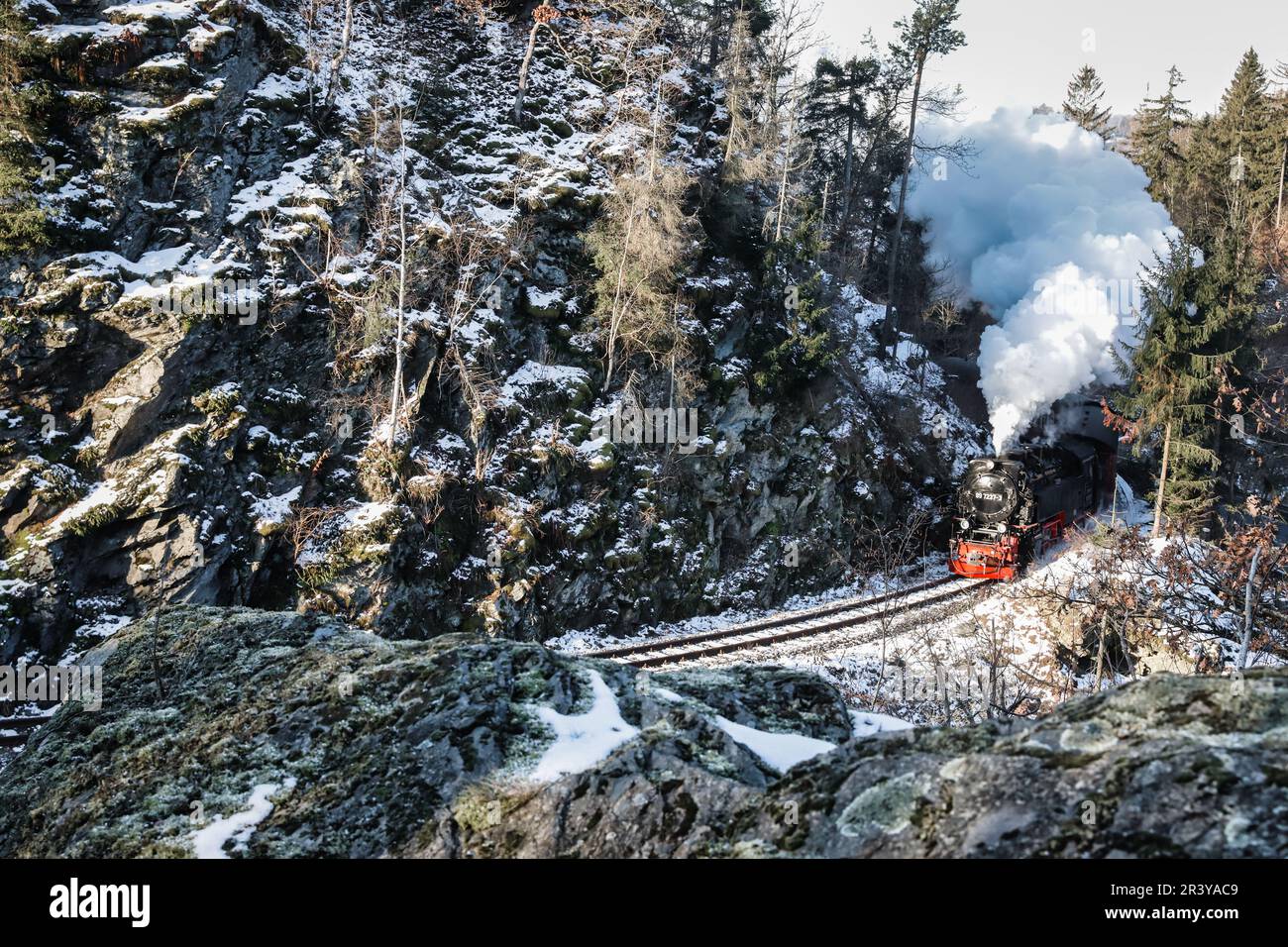 Harz narrow-gauge railway Selketalbahn Harz Stock Photo - Alamy