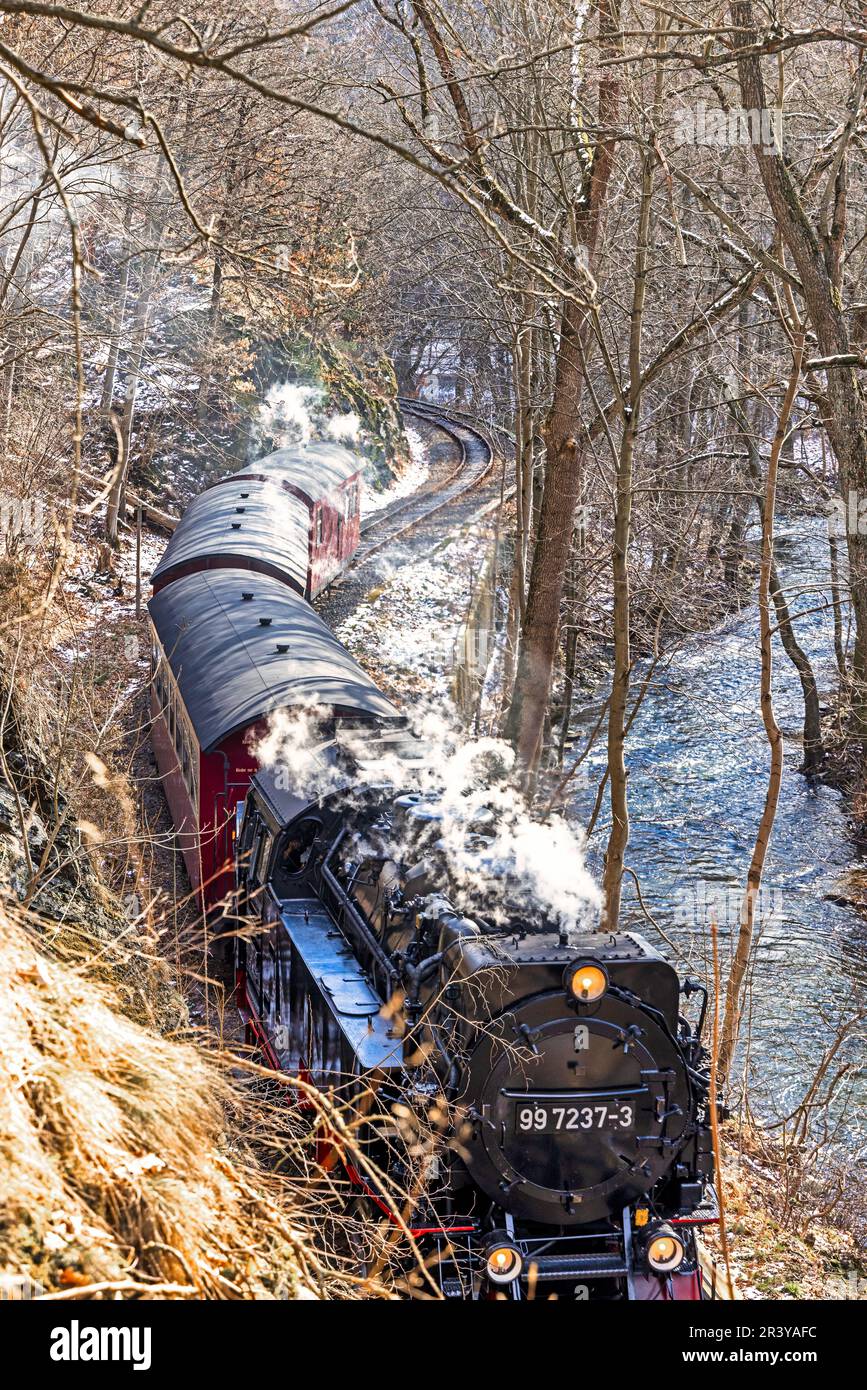 Harz narrow-gauge railway Selketalbahn Harz Stock Photo - Alamy