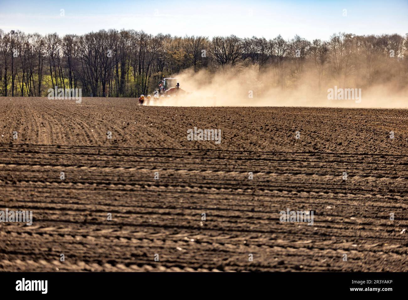 Meyenburg, Deutschland. 19th Apr, 2023. Maize sowing precision seeder ...