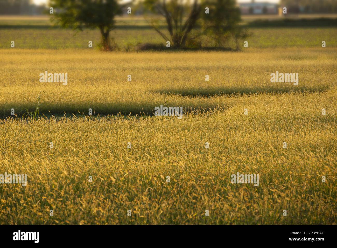 Land enclosed hi-res stock photography and images - Alamy
