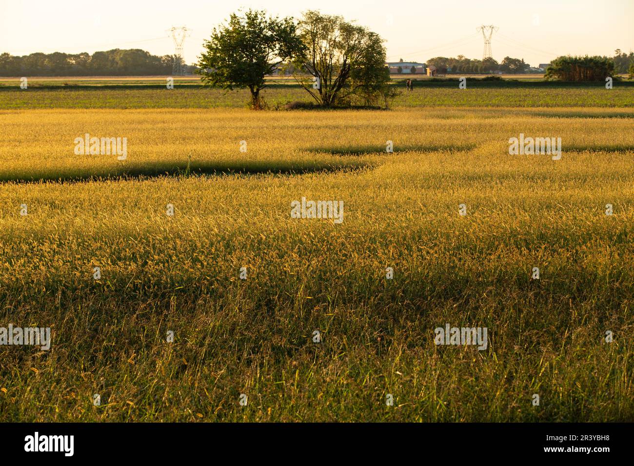 Enclosed land hi-res stock photography and images - Alamy