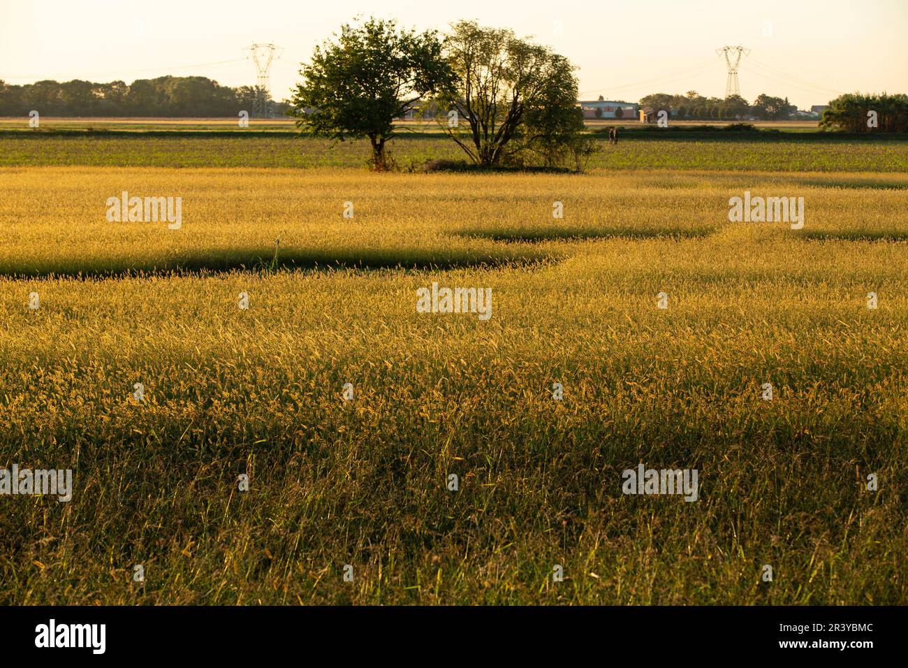 Enclosed land hi-res stock photography and images - Alamy