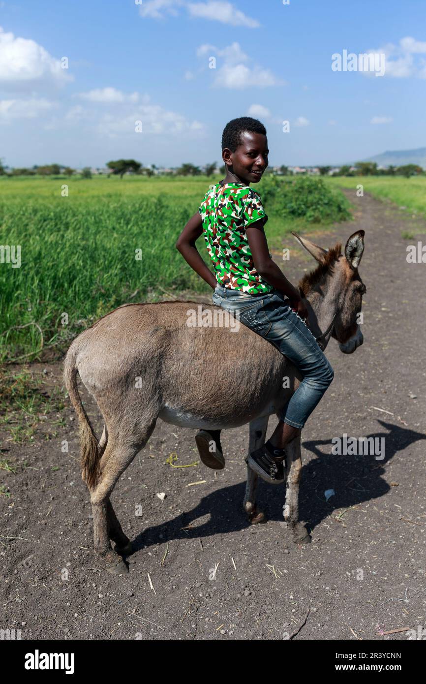 A child with the donkey, Bishoftu, Debre Zeyit, Ethiopia Stock Photo ...