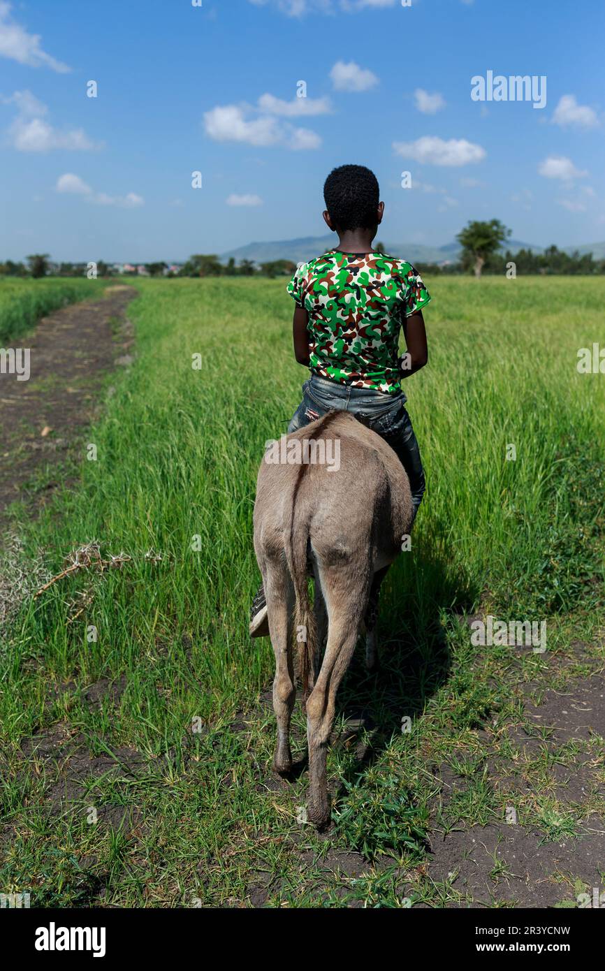 A child with the donkey, Bishoftu, Debre Zeyit, Ethiopia Stock Photo ...