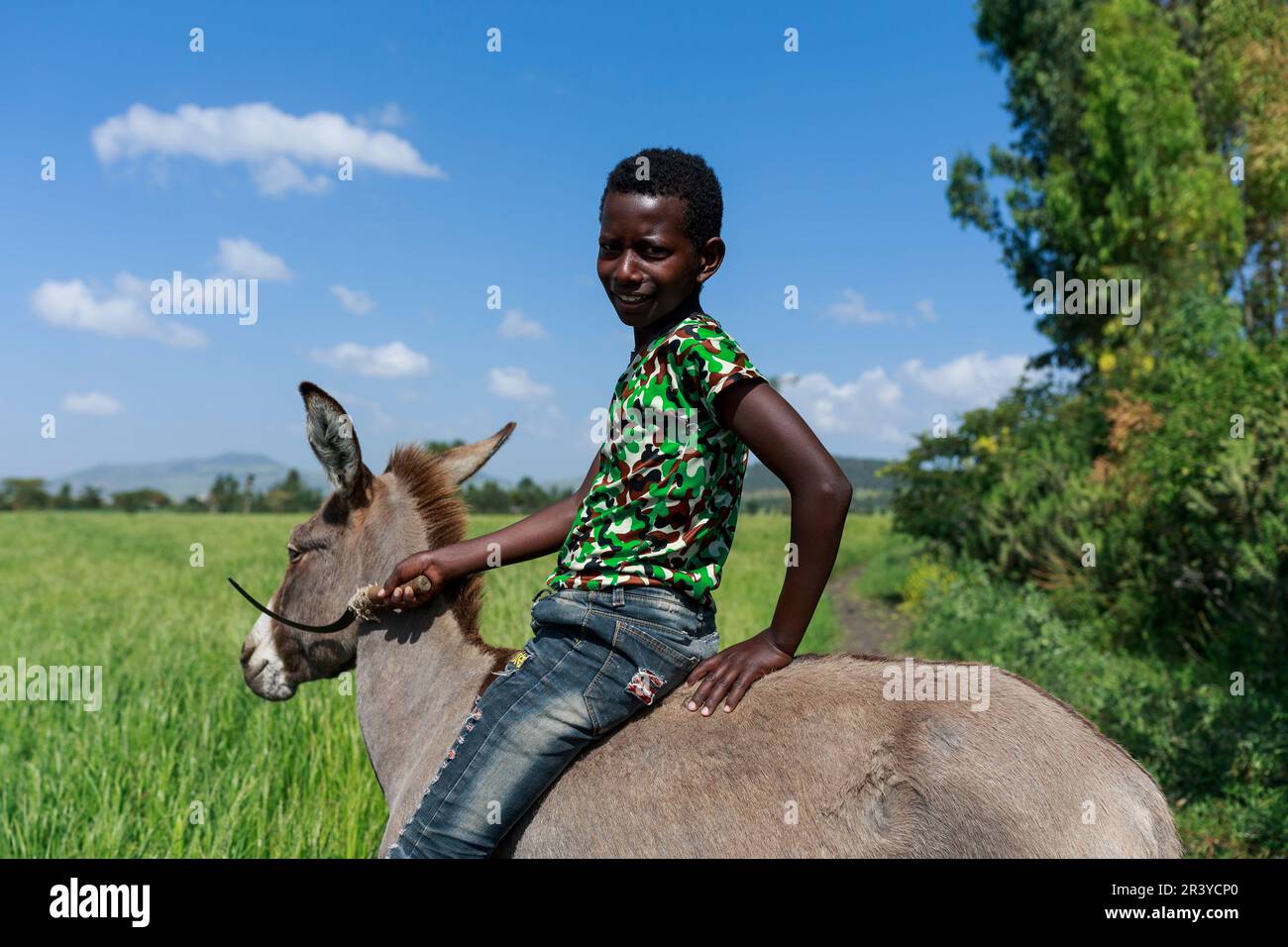 A child with the donkey, Bishoftu, Debre Zeyit, Ethiopia Stock Photo ...