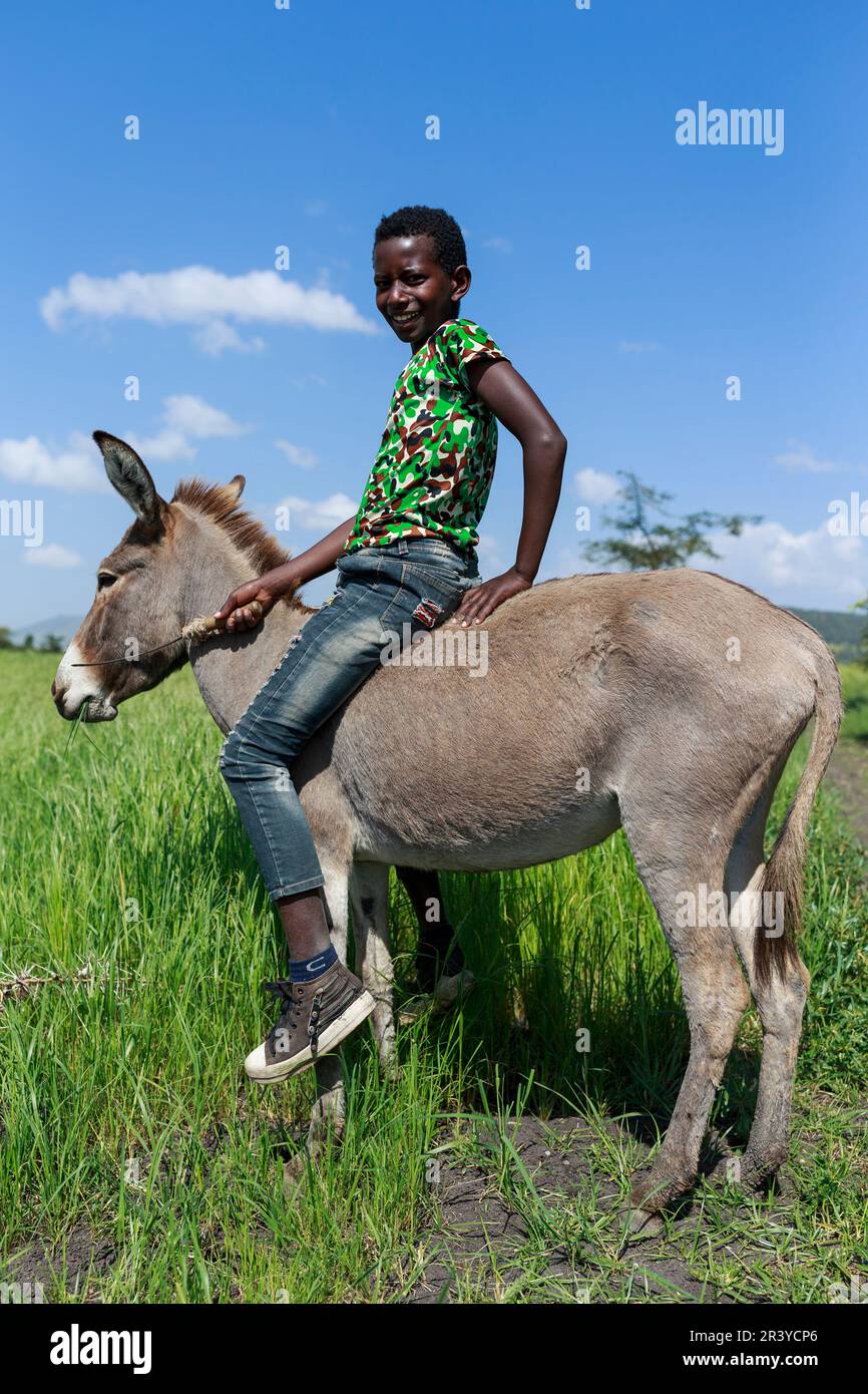 A child with the donkey, Bishoftu, Debre Zeyit, Ethiopia Stock Photo ...