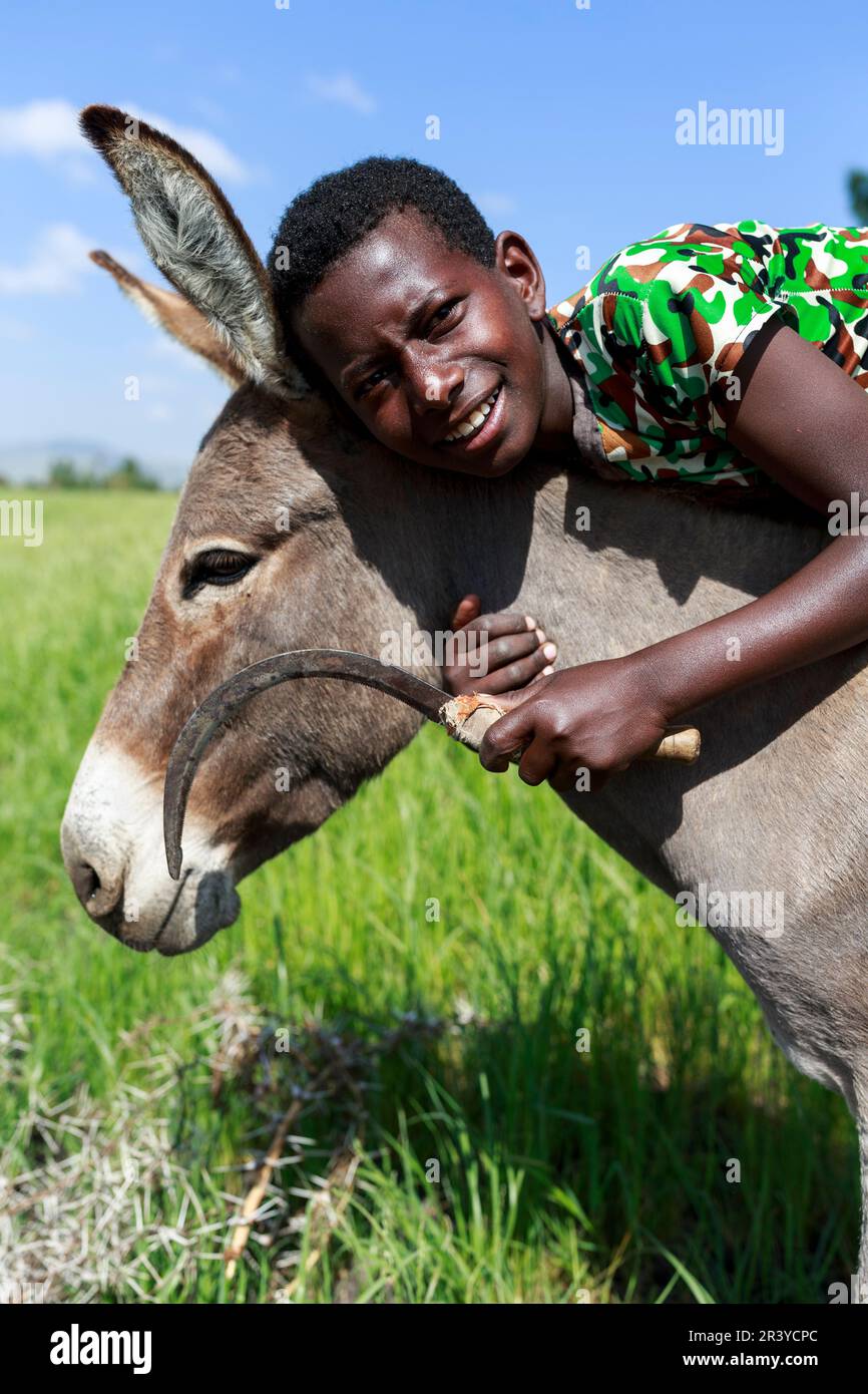 A child with the donkey, Bishoftu, Debre Zeyit, Ethiopia Stock Photo ...