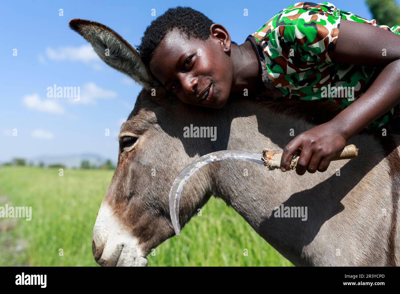A child with the donkey, Bishoftu, Debre Zeyit, Ethiopia Stock Photo ...