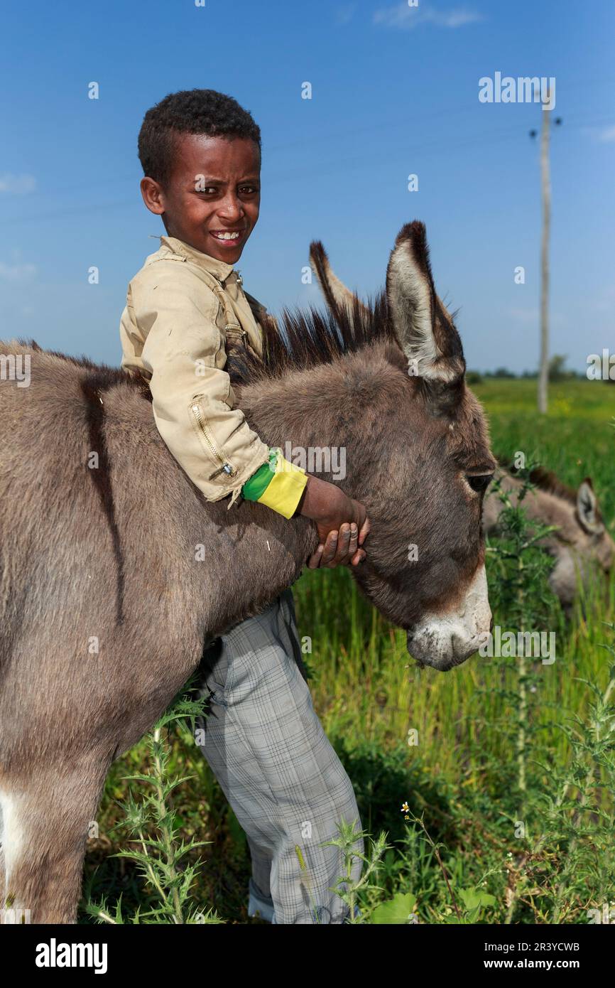 A child with the donkey, Bishoftu, Debre Zeyit, Ethiopia Stock Photo ...