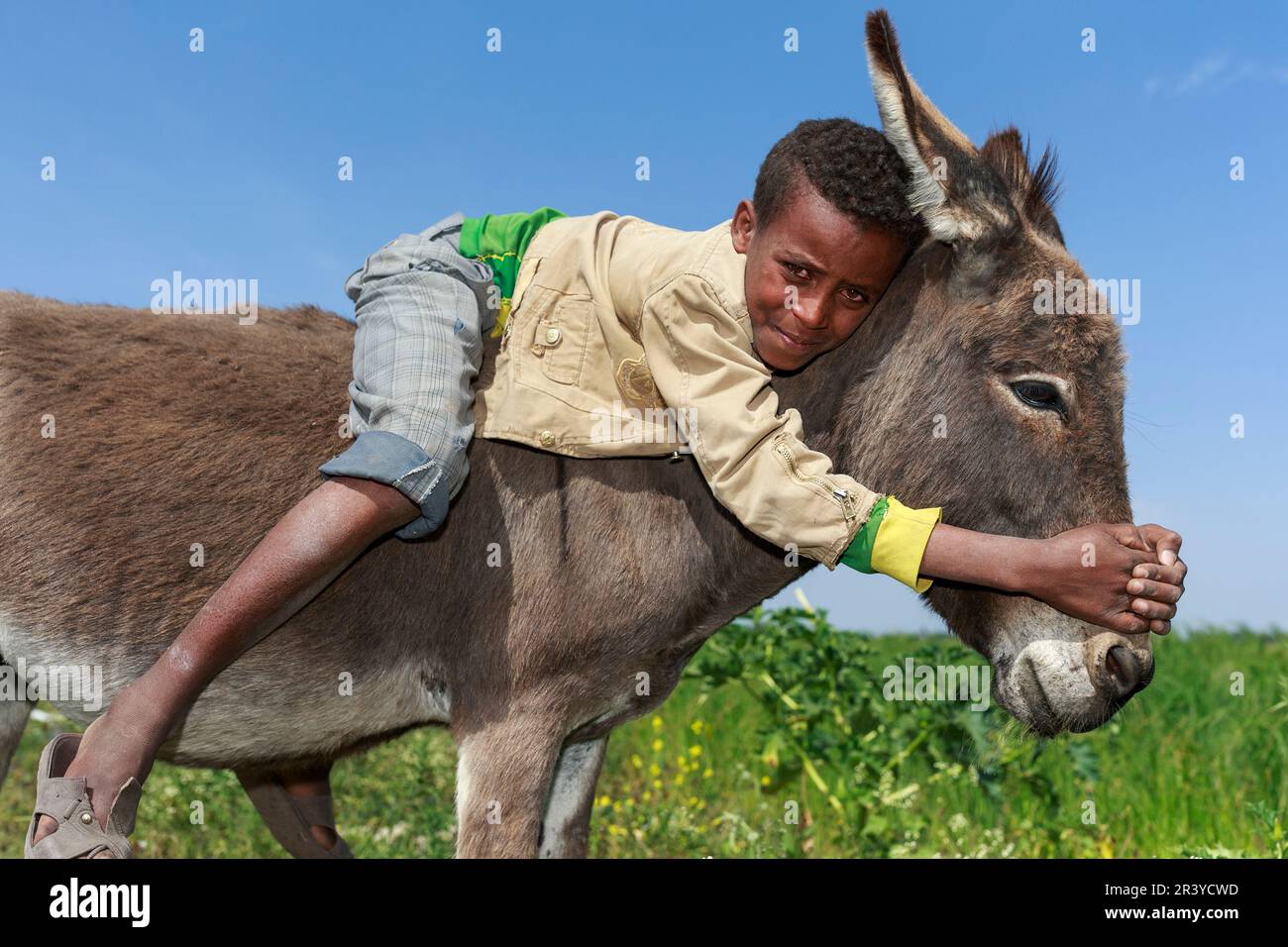A child with the donkey, Bishoftu, Debre Zeyit, Ethiopia Stock Photo ...