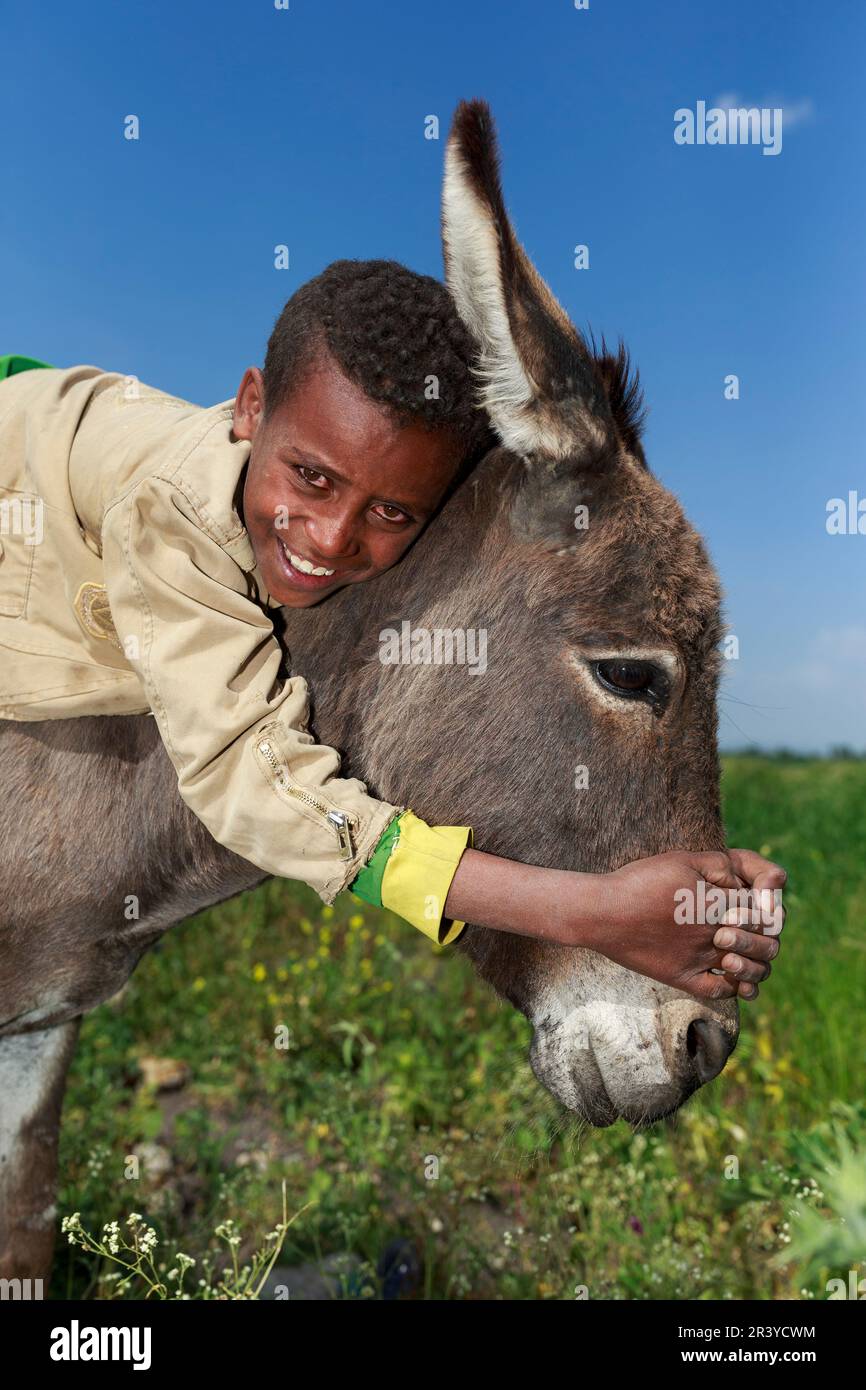 A child with the donkey, Bishoftu, Debre Zeyit, Ethiopia Stock Photo ...