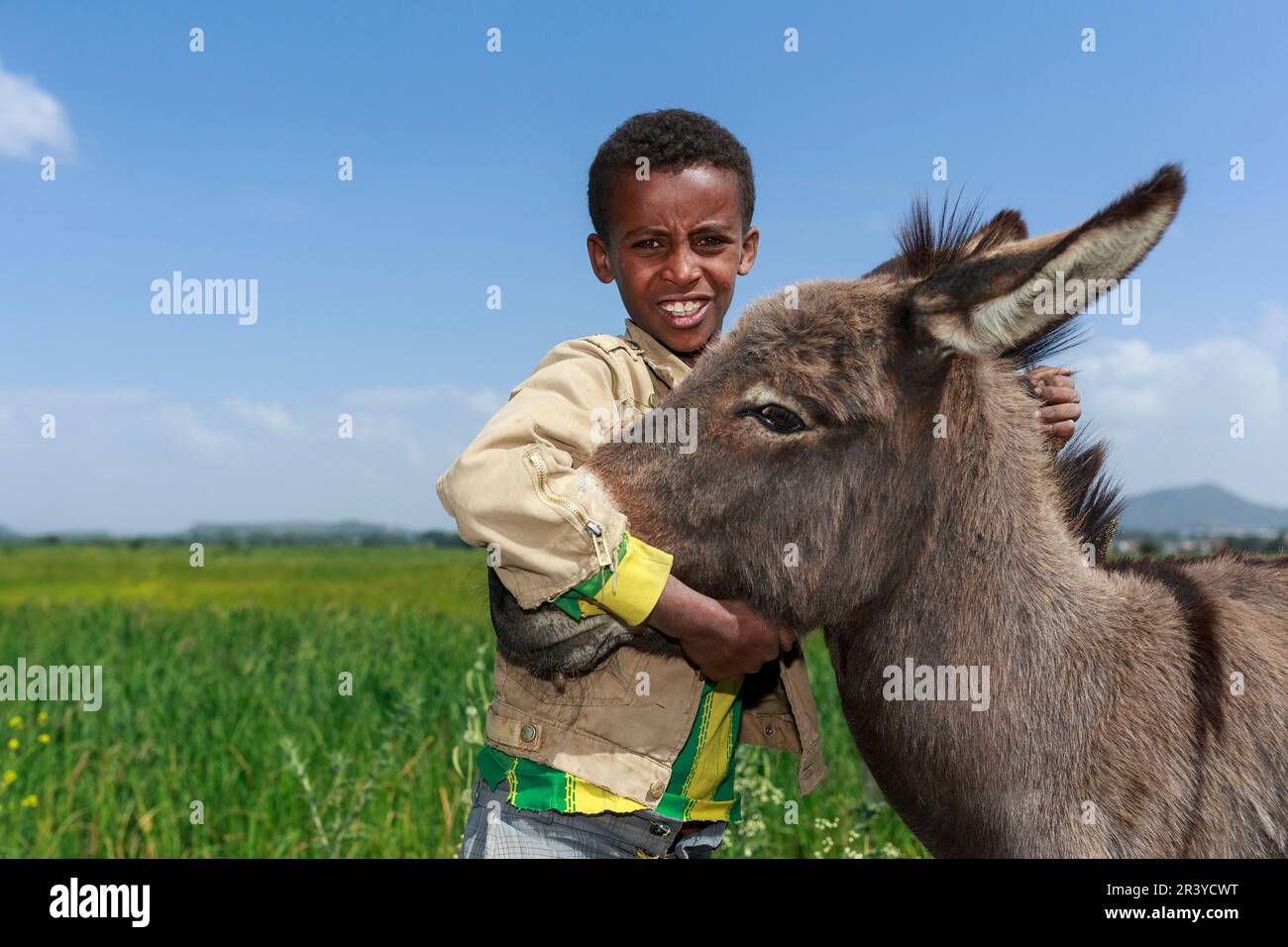 A child with the donkey, Bishoftu, Debre Zeyit, Ethiopia Stock Photo ...