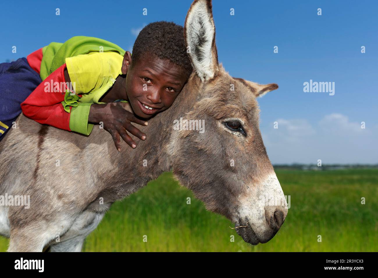 A child with the donkey, Bishoftu, Debre Zeyit, Ethiopia Stock Photo ...