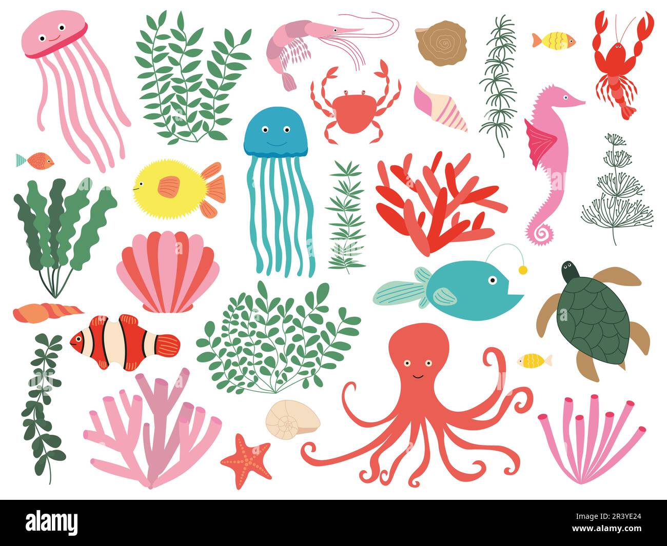 Star shrimp Stock Vector Images - Alamy