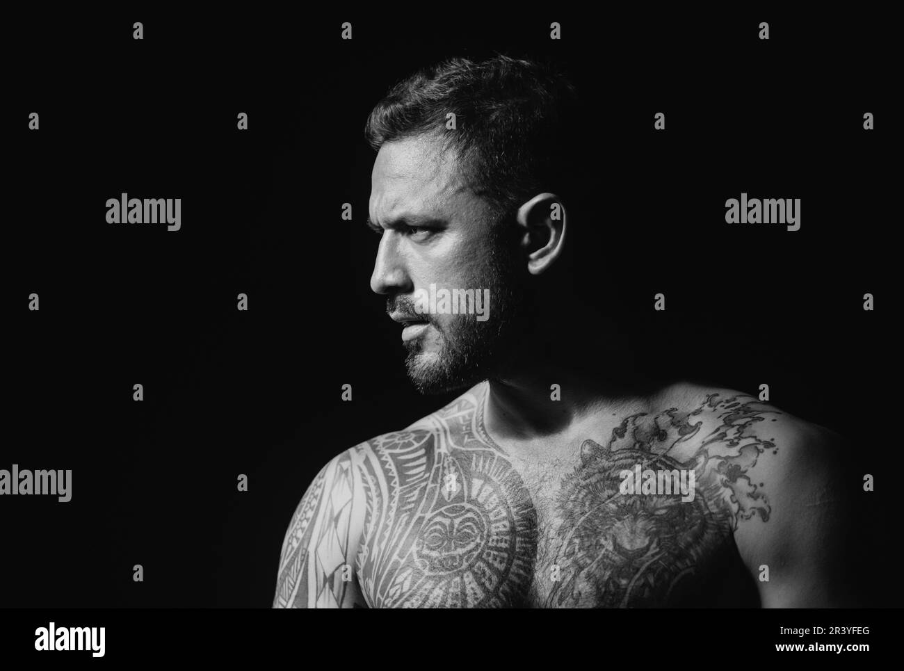 Confident attractive man with serious face. Close up portrait of guy ...