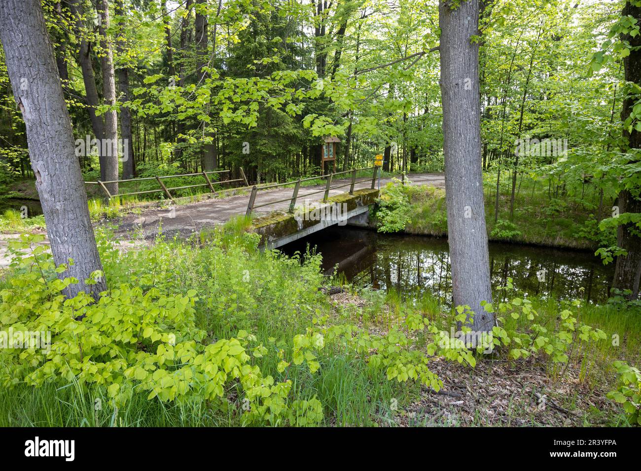 Zlatá stoka, Trebon, Jizni Cechy, Ceska Republika / Golden canal ...