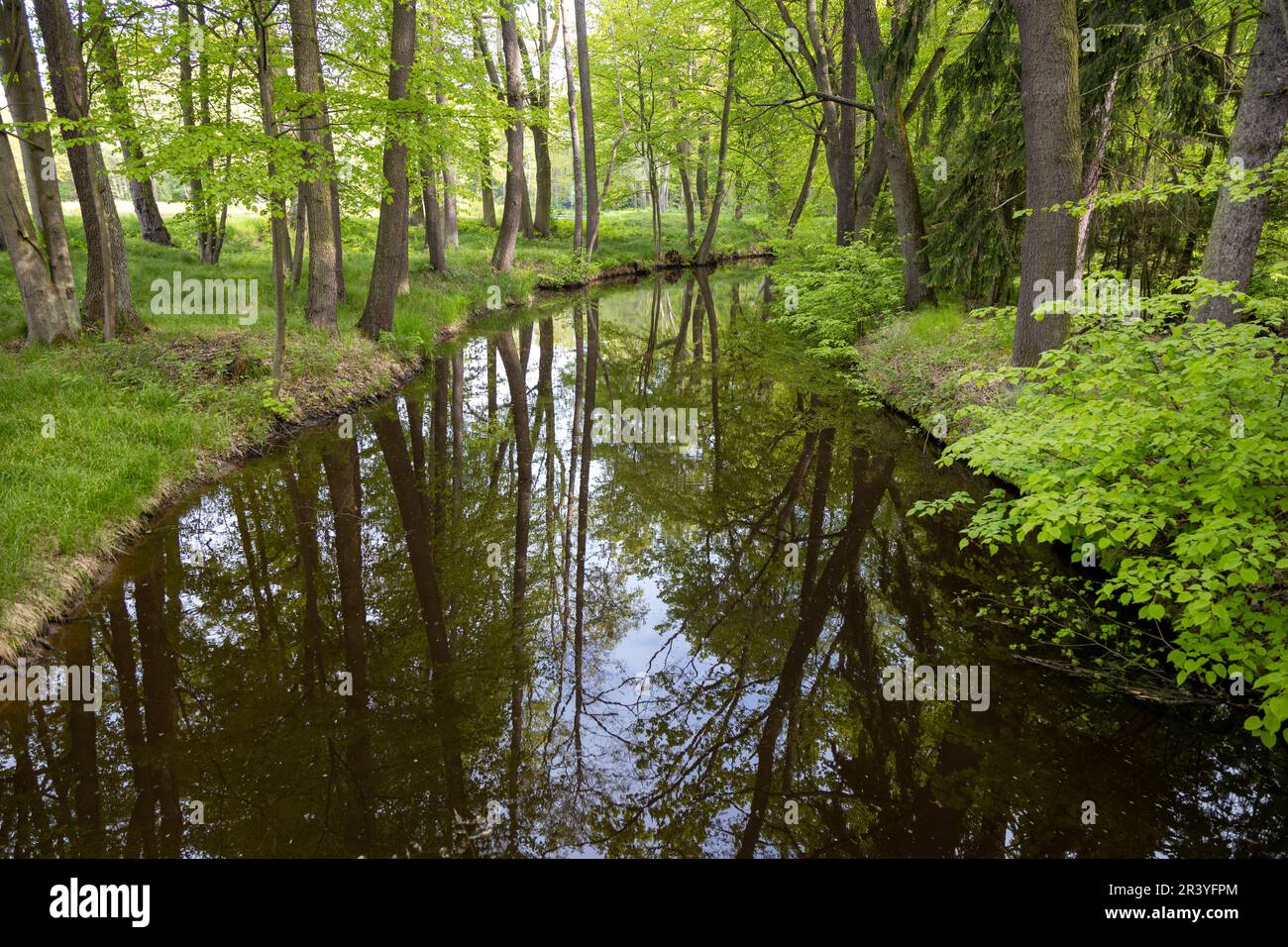 Zlatá stoka, Trebon, Jizni Cechy, Ceska Republika / Golden canal ...