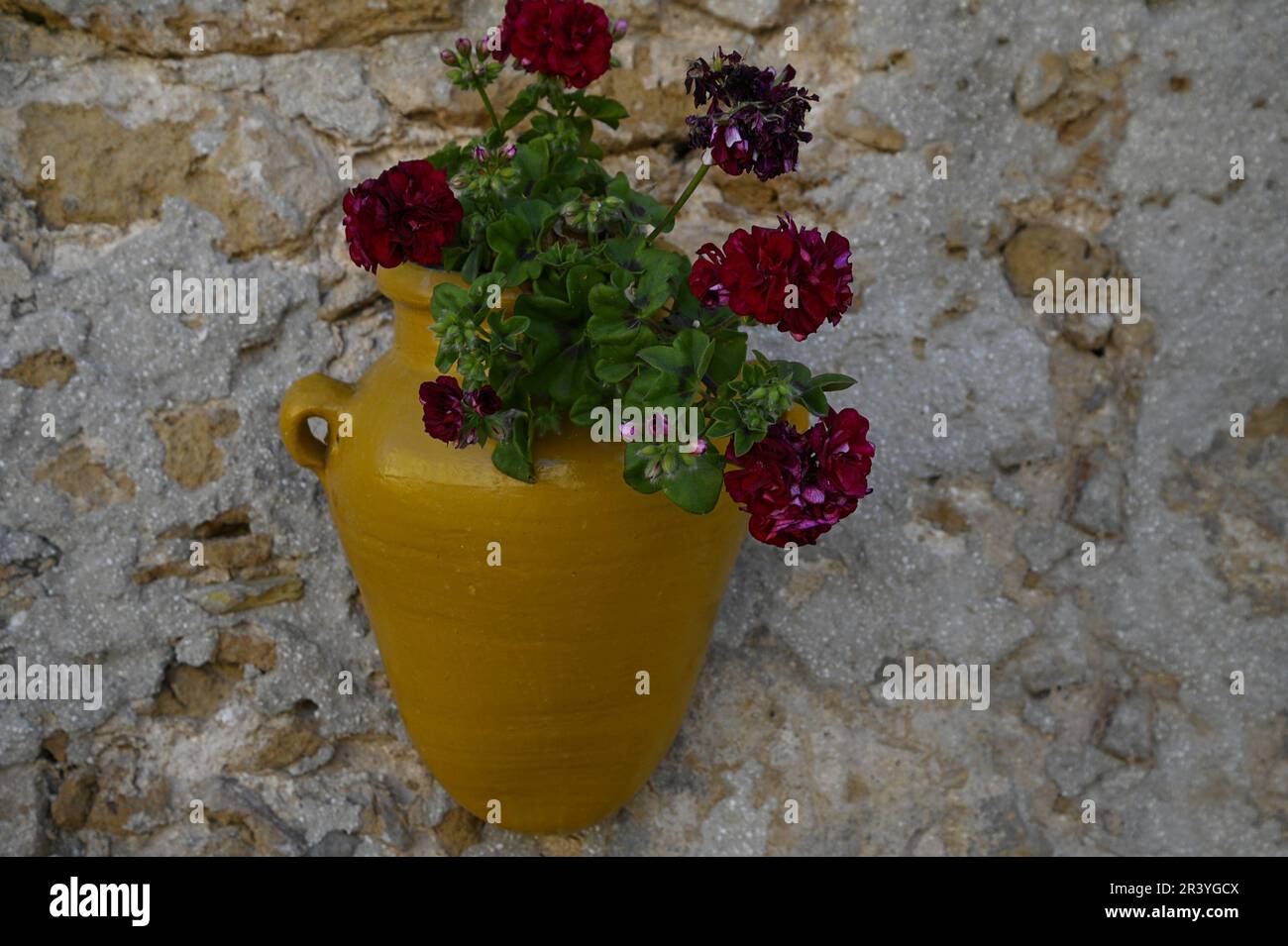 Traditional handmade glazed clay pot with geraniums on a handcrafted ...