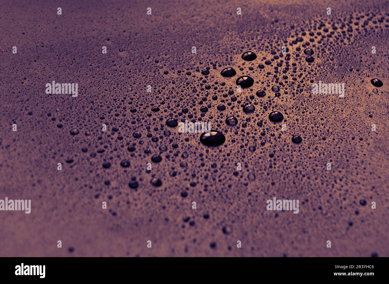 Drops of water on a dark matte surface close up, water blots, design ...