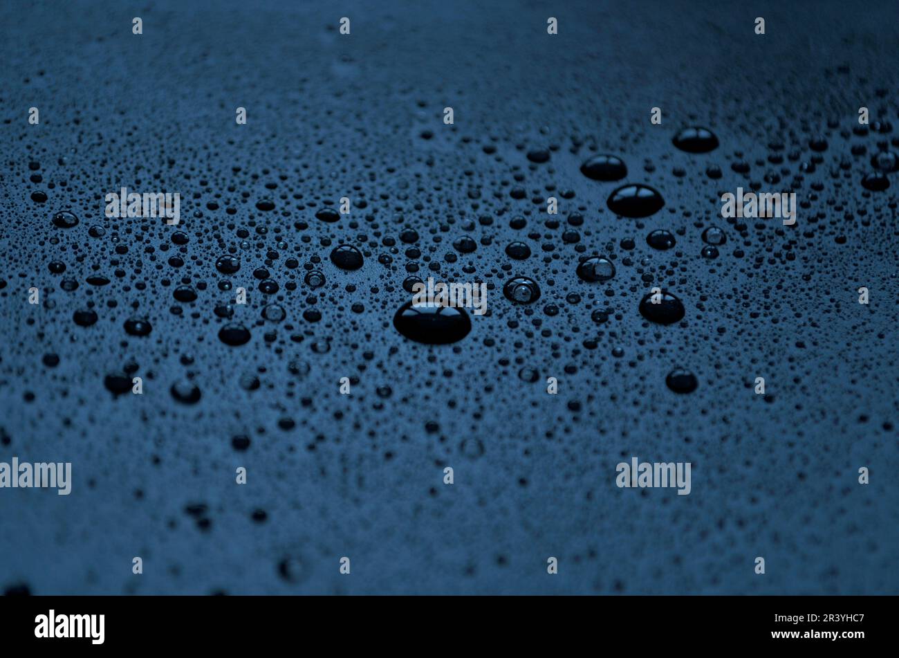 Drops of water on a dark matte surface close up, water blots, design ...
