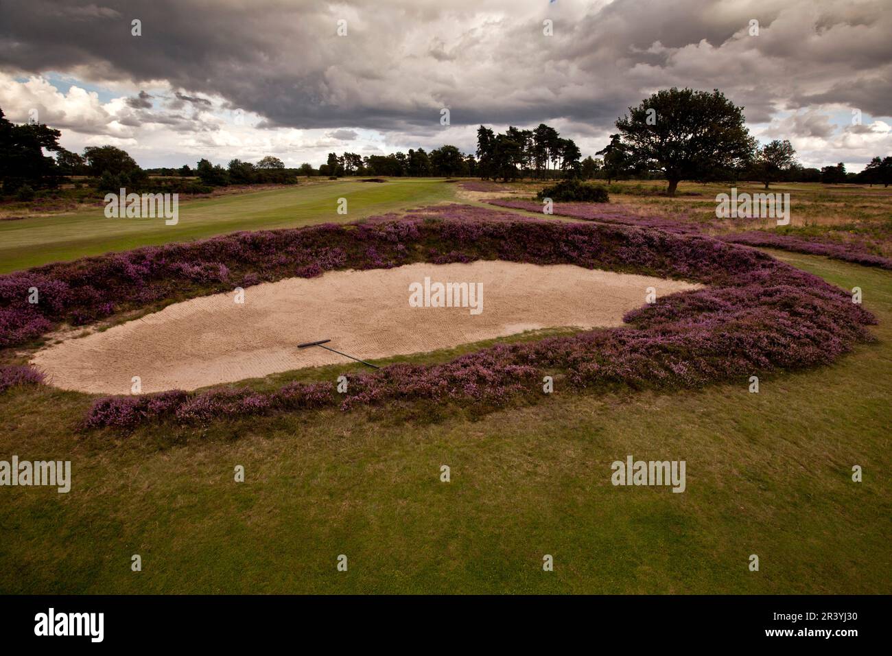 Walton Heath Golf Club, Surrey, UK - host of the August 2023 AIG WomenÕs Open Stock Photo - Alamy