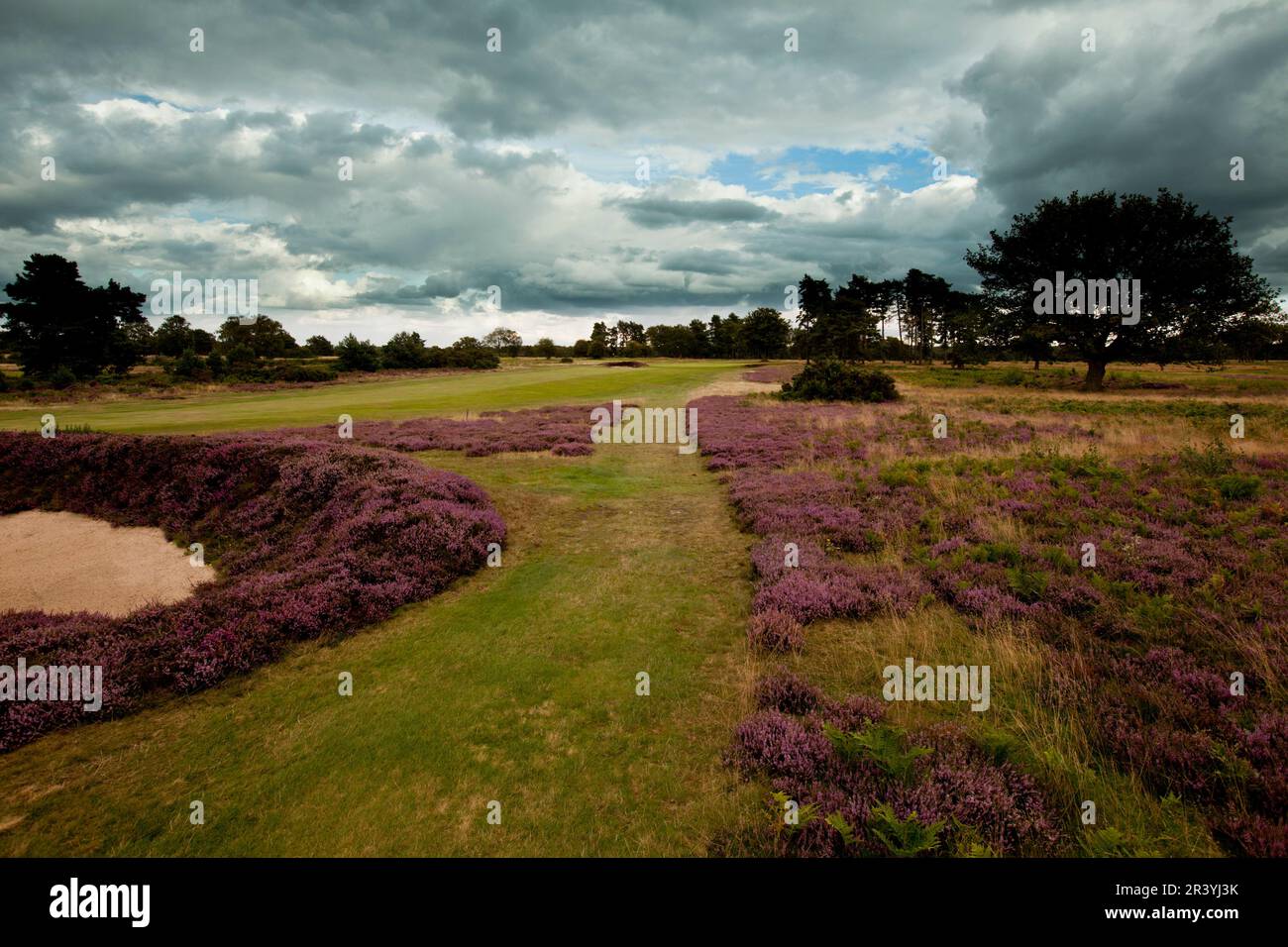 Walton Heath Golf Club, Surrey, UK - host of the August 2023 AIG WomenÕs Open Stock Photo - Alamy