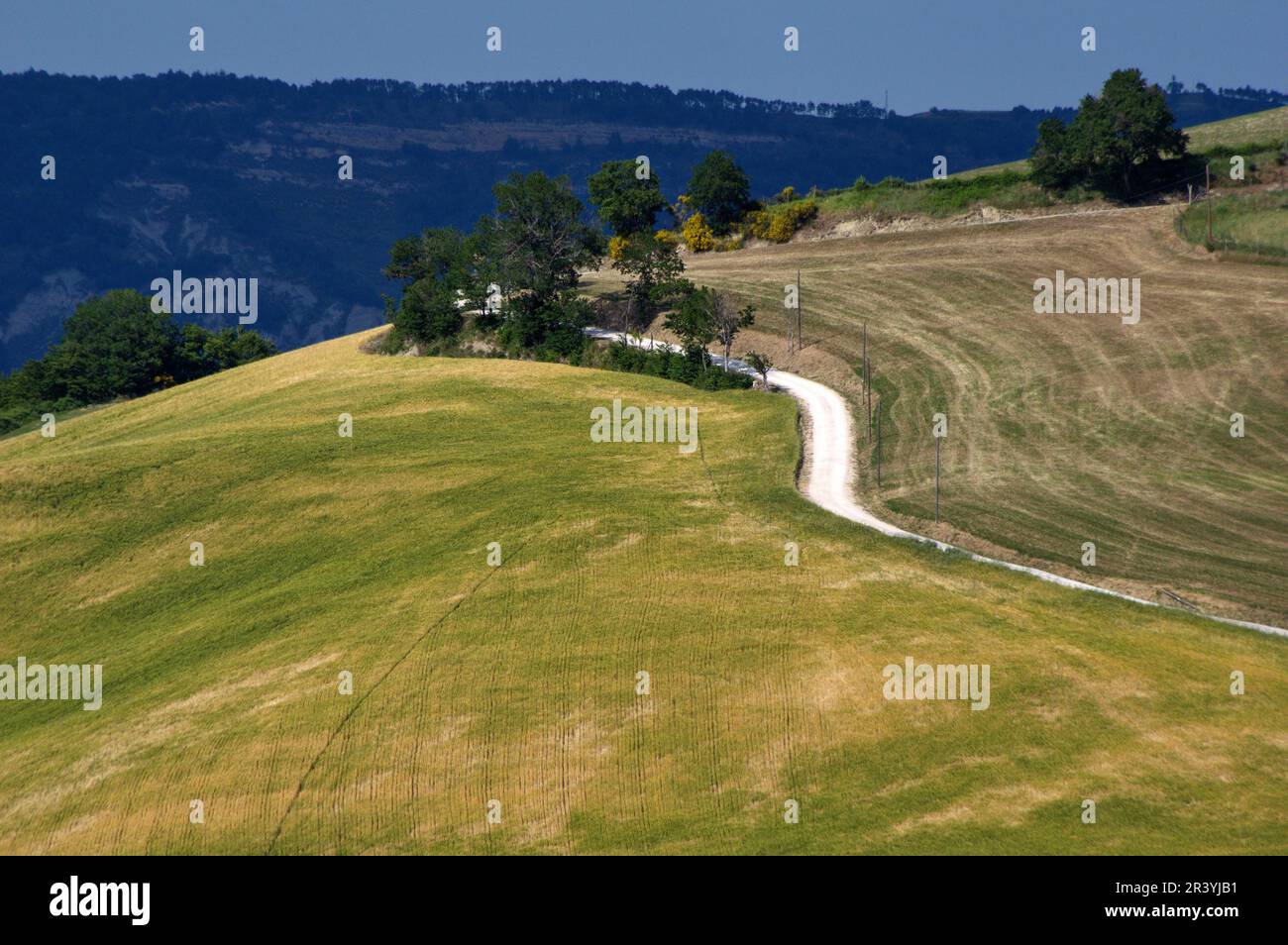 white country road Stock Photo - Alamy