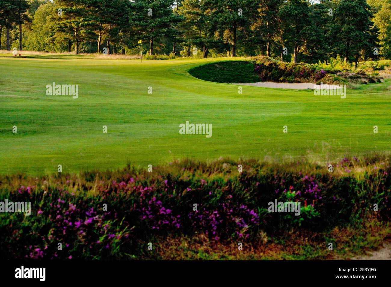 Walton Heath Golf Club, Surrey, UK - host of the August 2023 AIG WomenÕs Open Stock Photo - Alamy