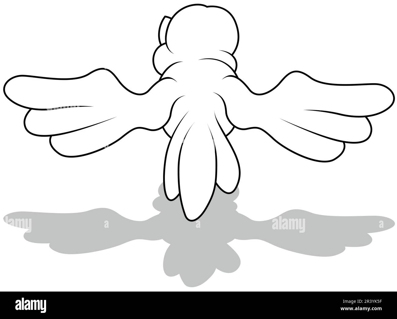 Drawing of a Flying Sparrow from Back View Stock Vector Image & Art - Alamy