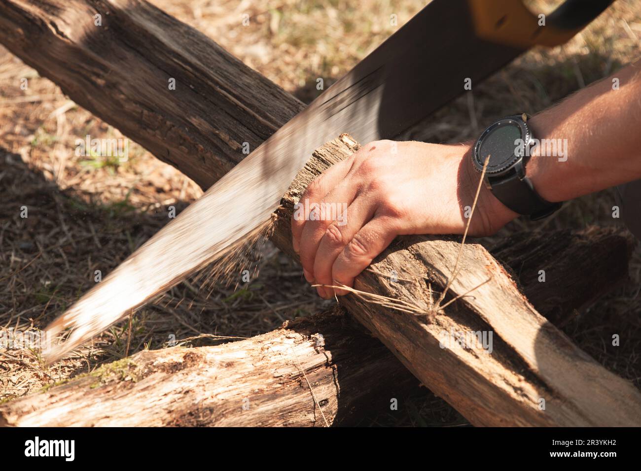 A man saws the tree trunk with a hand saw, close-up photo with ...