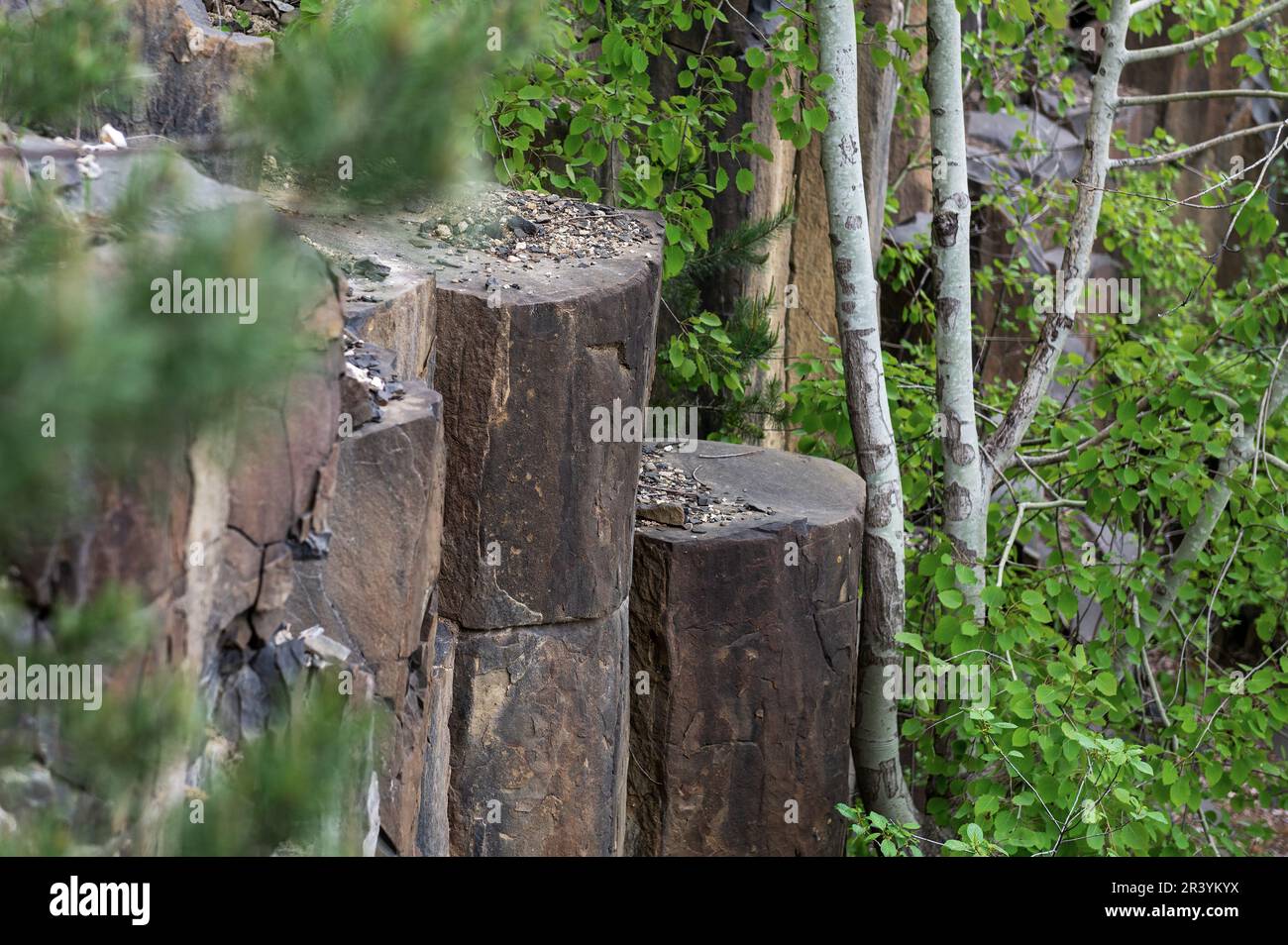 Basalt pillars in an abandoned quarry. Abandoned basalt quarry as a ...