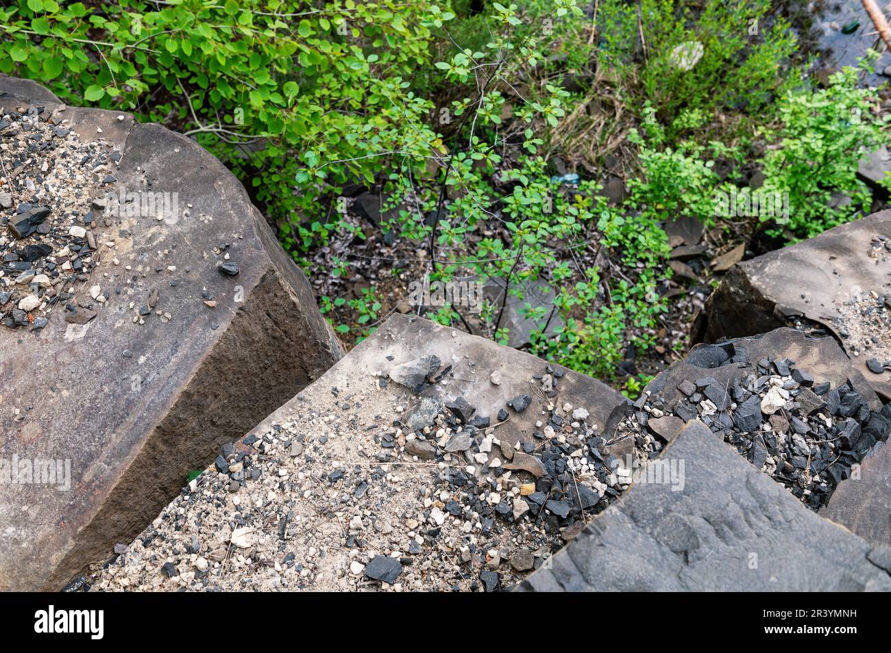Basalt pillars in an abandoned quarry. Abandoned basalt quarry as a ...