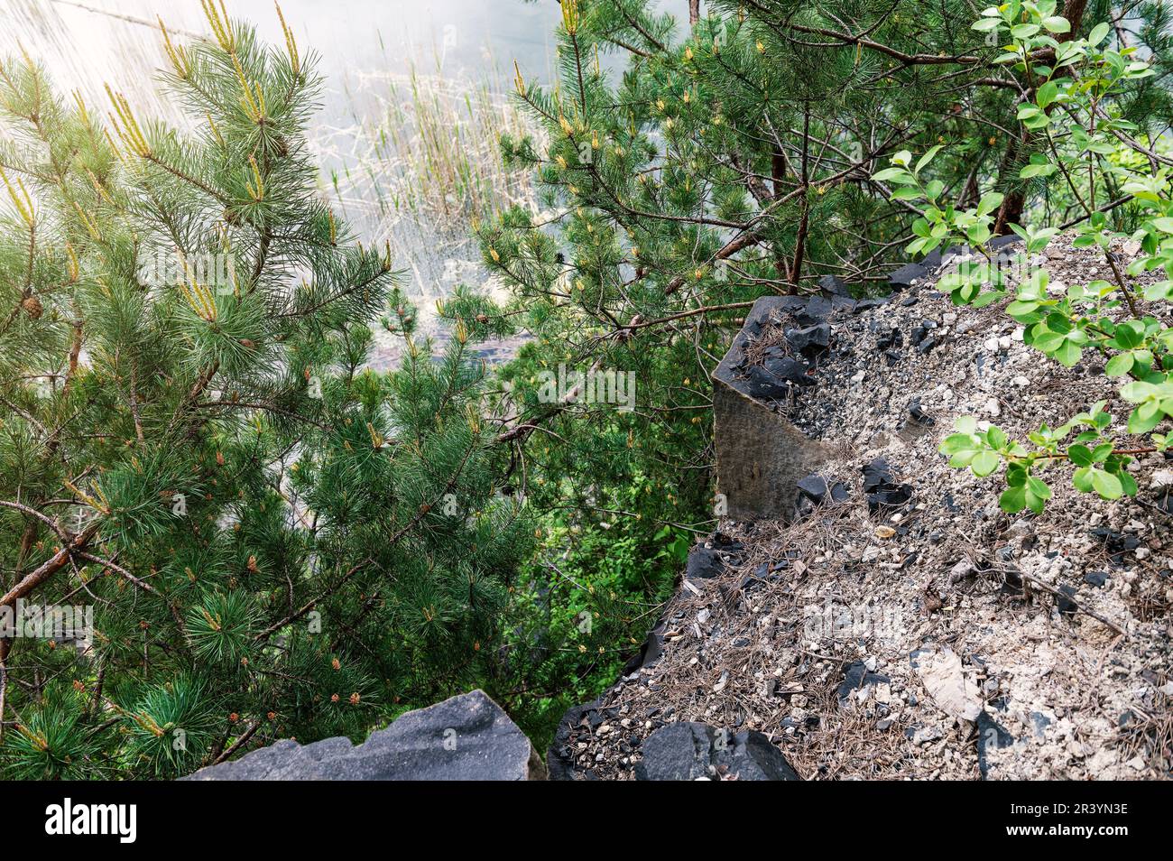 Basalt pillars in an abandoned quarry. Abandoned basalt quarry as a ...